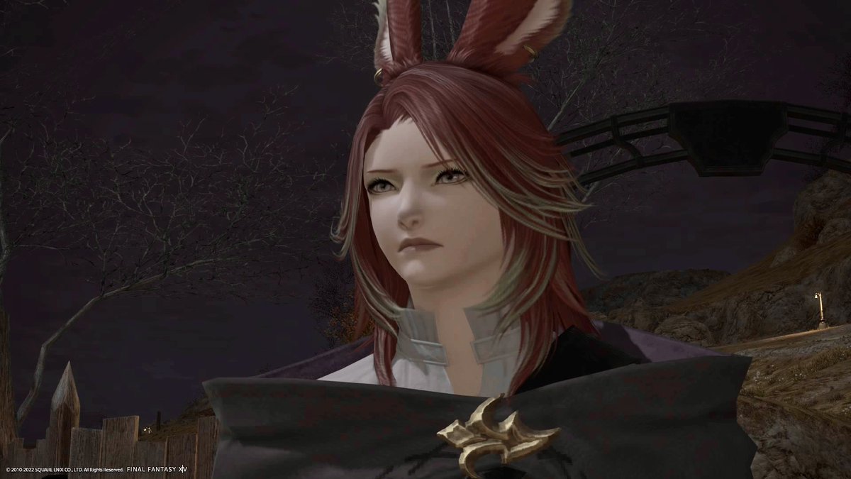 Which male Viera face do you prefer, and why? : r/ffxiv
