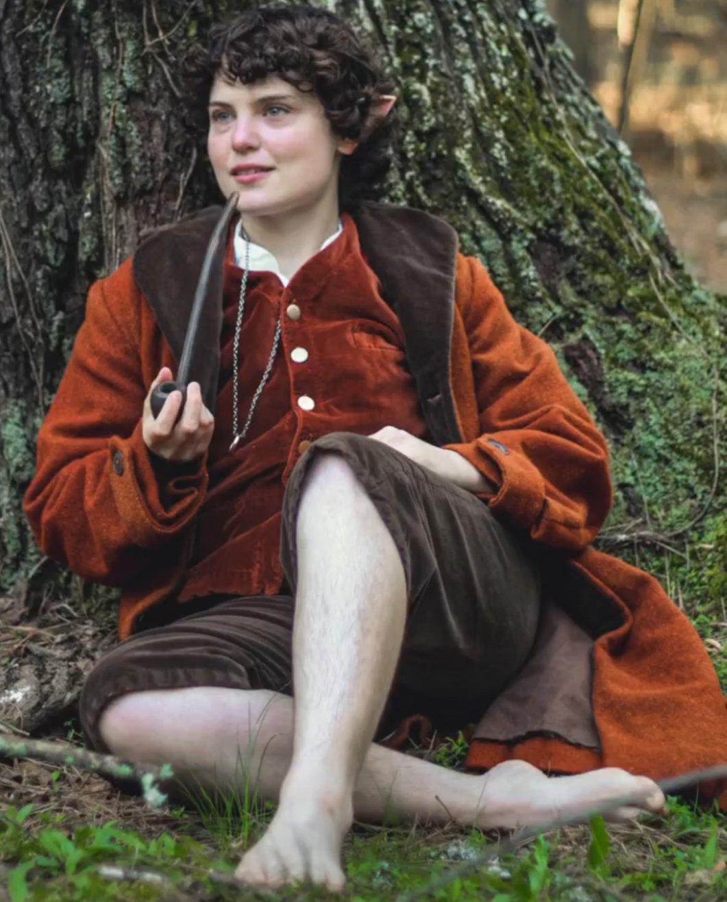 Frodo Baggins Full Body