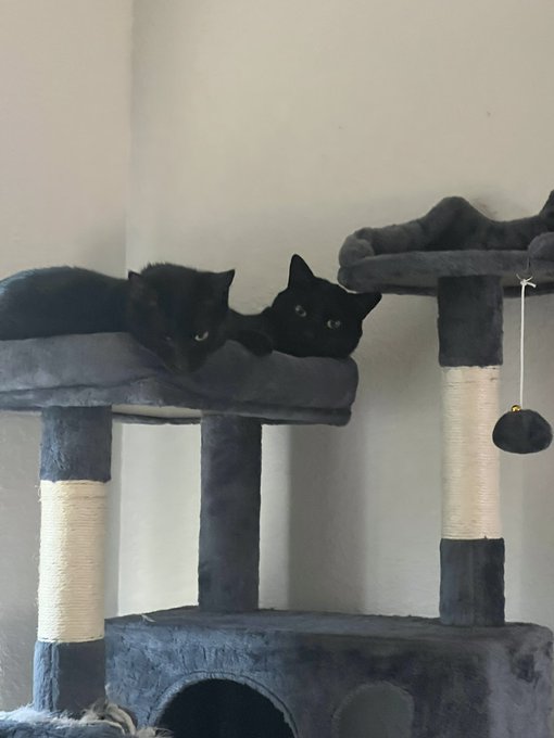 TW Pornstars - ReeYue. The most retweeted pictures and videos for all ...