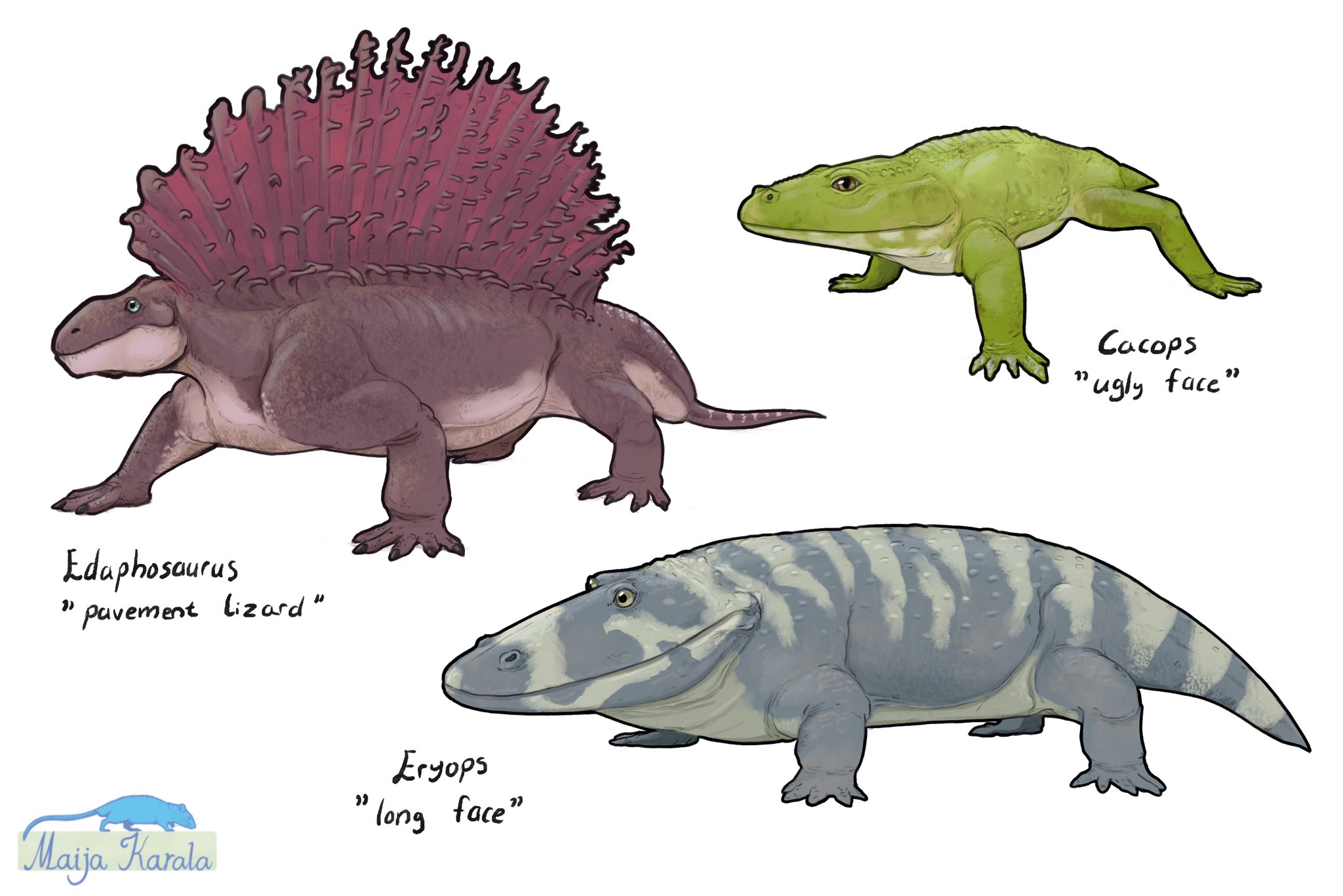 Permian Animals