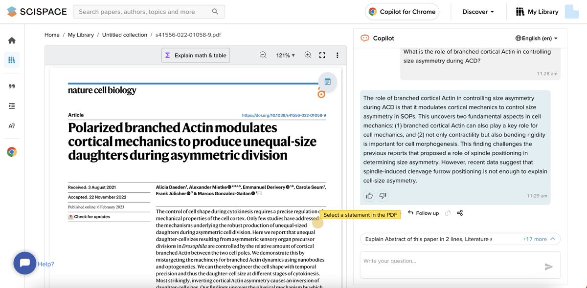 Thread by @DrAminaYonis on Thread Reader App – Thread Reader App