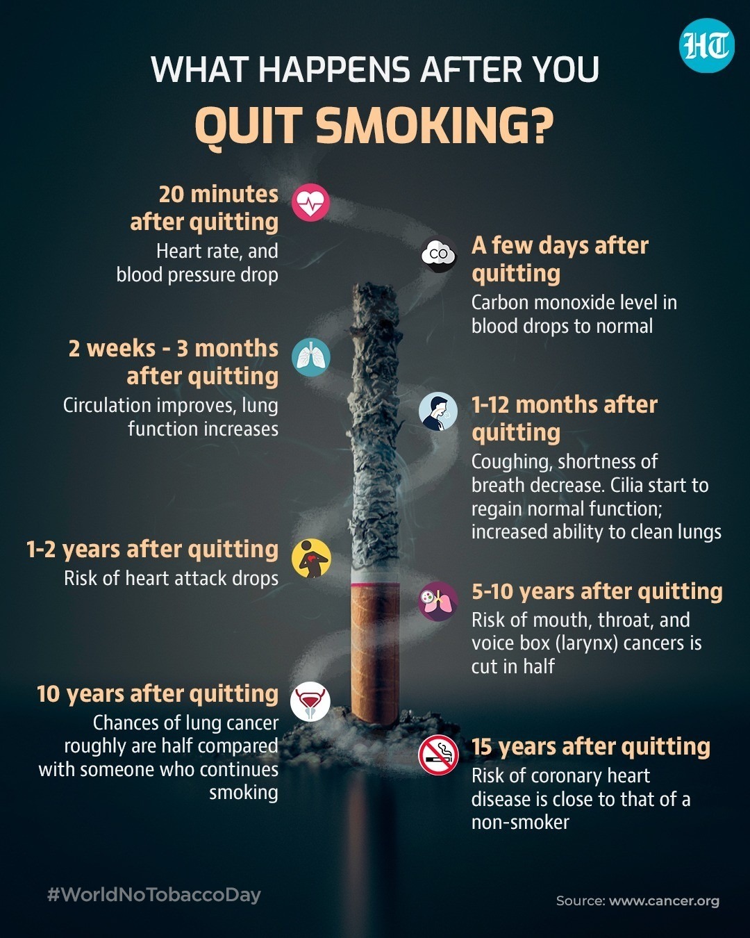 Your Body After You Quit Smoking With Infographic What Happens To Your