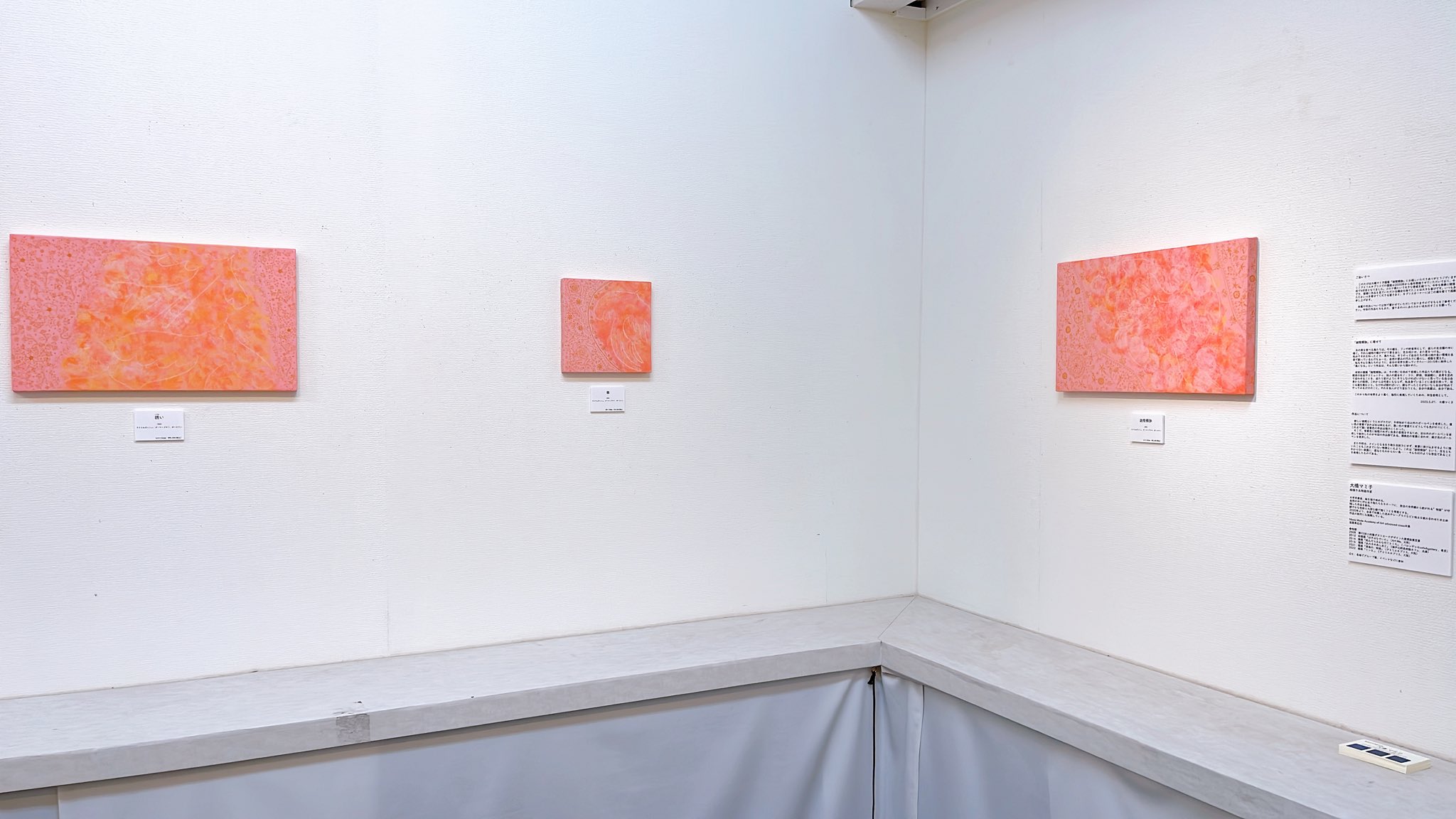 アトリエキプリス-Atelier cypris- (@Atelier_cypris) / Twitter