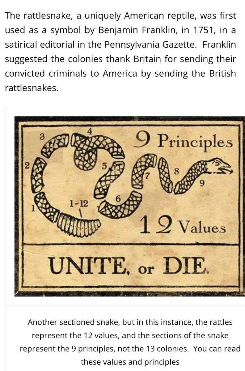 Snakes had an intriguing transition during the Revolutionary era ...