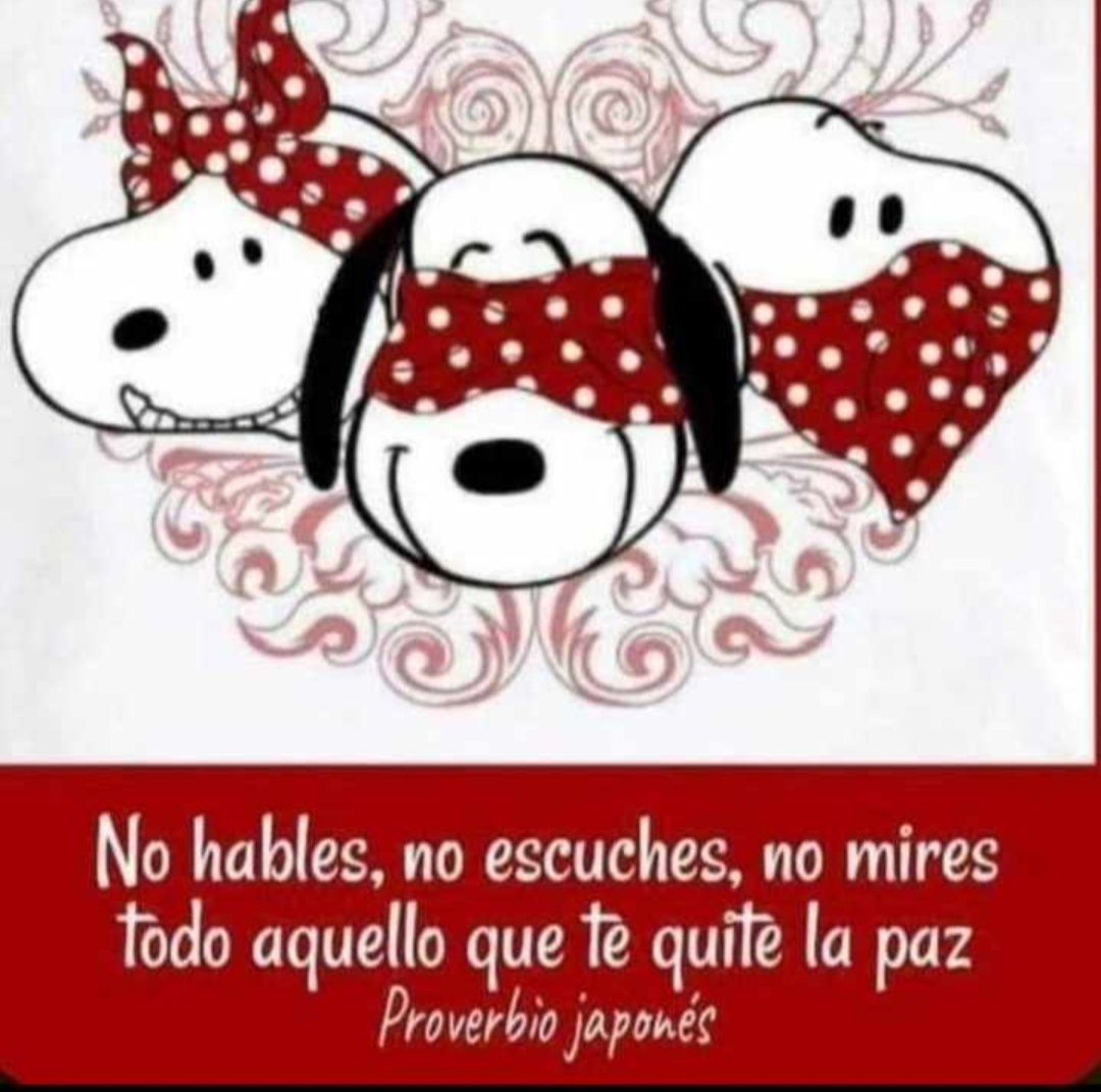 María Blanco on Twitter: María Blanco on Twitter: