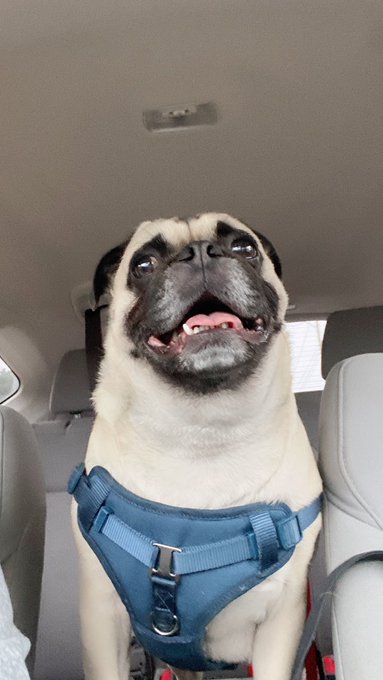 TW Pornstars - Dana Vespoli. Pictures and videos from Twitter.