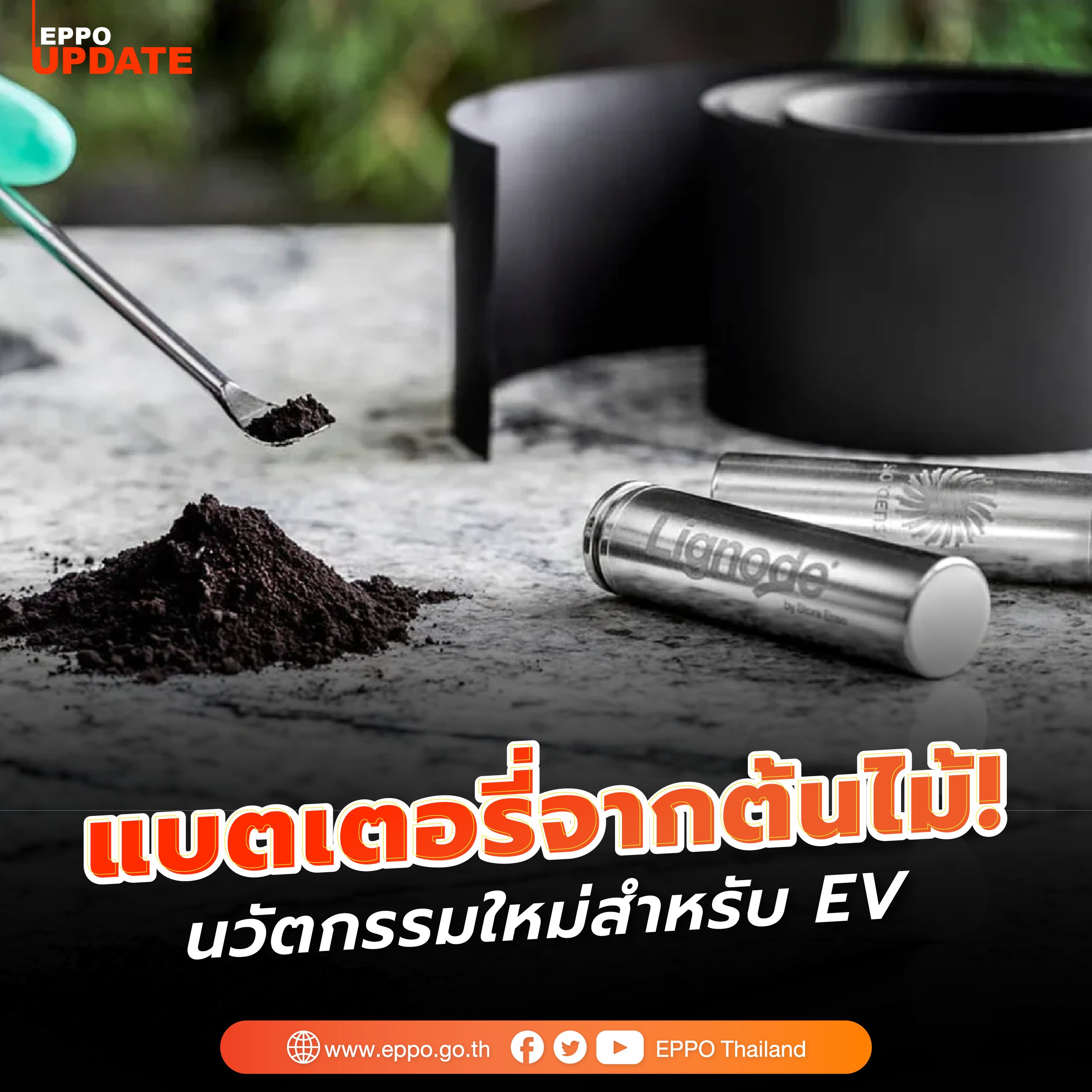 EPPO Thailand (@EppoThailand) / Twitter