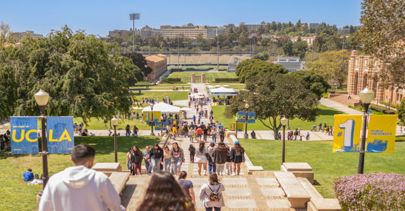 Ucla Students