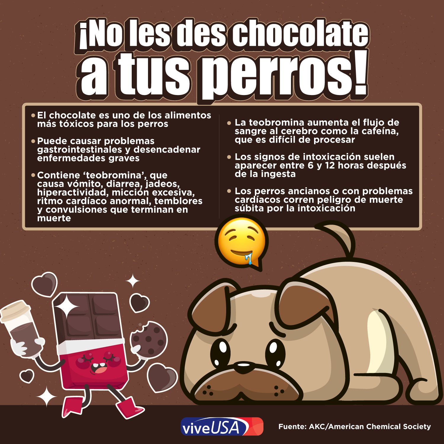 Mi Perro Se Muere Si Come Chocolate