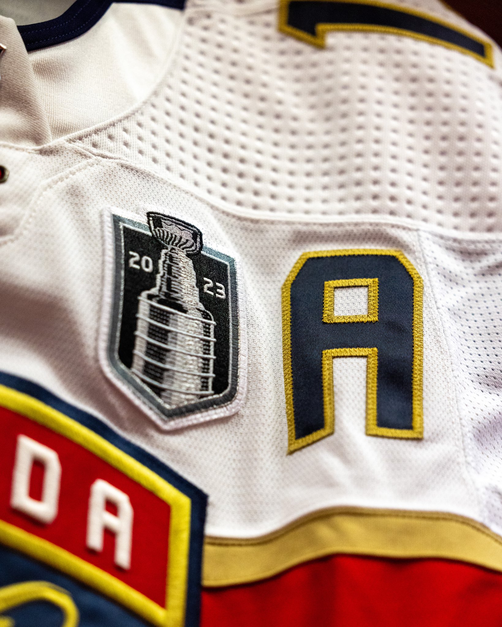 OhSureThing on Twitter: "@FlaPanthers AutoNation patch is apparently more important than the ...