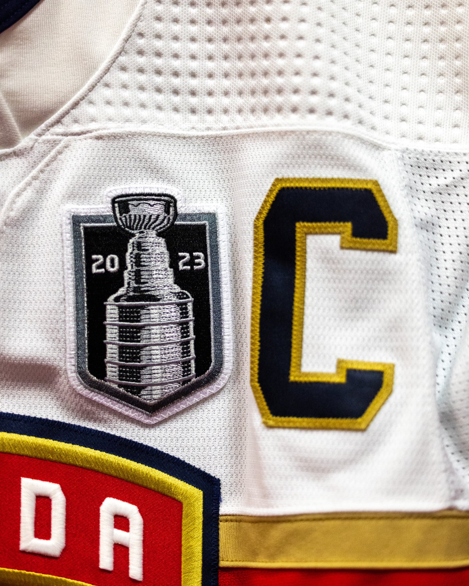 OhSureThing on Twitter: "@FlaPanthers AutoNation patch is apparently more important than the ...