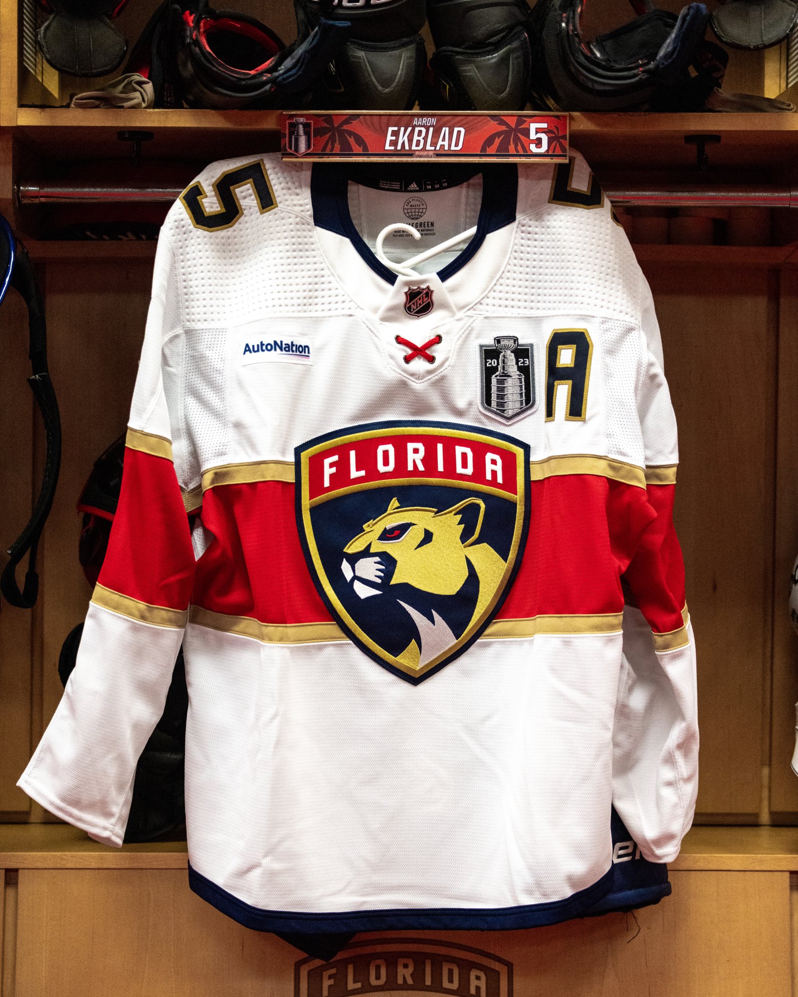 OhSureThing on Twitter: "@FlaPanthers AutoNation patch is apparently more important than the ...