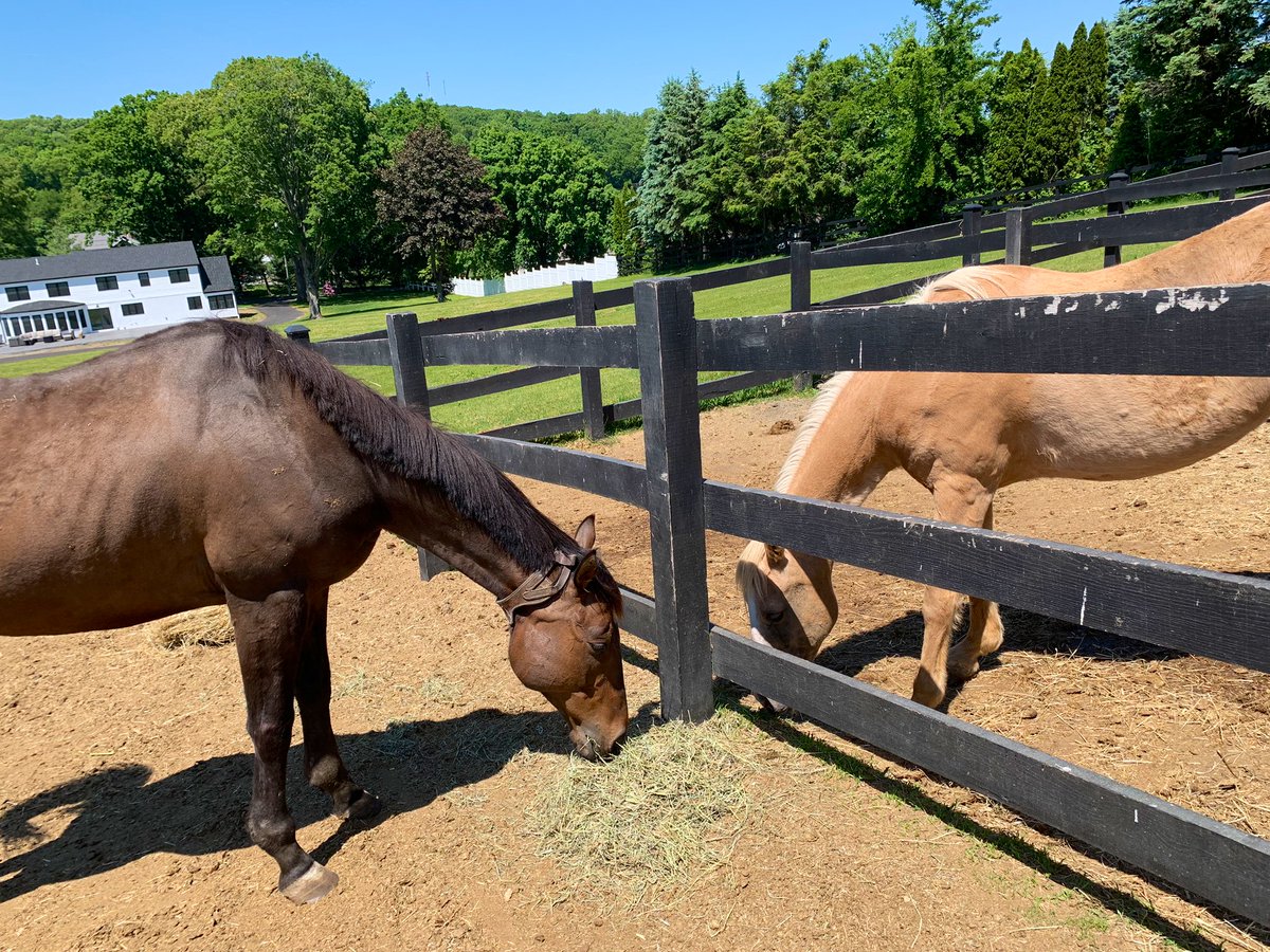 Latest News - Centennial Farms