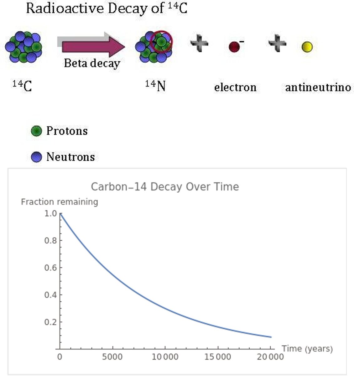 Napoleon 🇵🇱 on Twitter: "RT @IoniaScience: For carbon dating, the ...