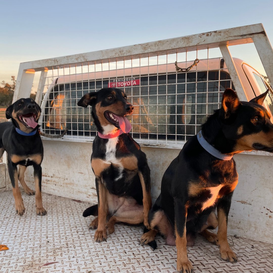 Farmbot Monitoring Solutions On Twitter Ahhh If Only I Could Be As