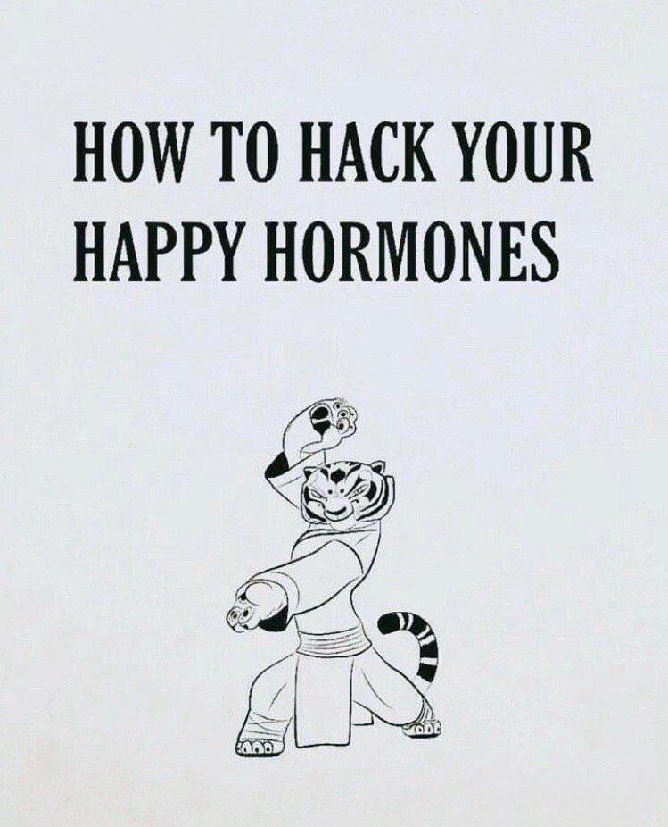 How To Hack Your Happy Hormones - Thread from ᴀʀᴛ ᴏꜰ ᴘʜʏꜱɪQᴜᴇ ...