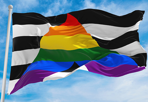 Hollister Incorporated on Twitter: "Pride month is celebrated across the world in June to ...