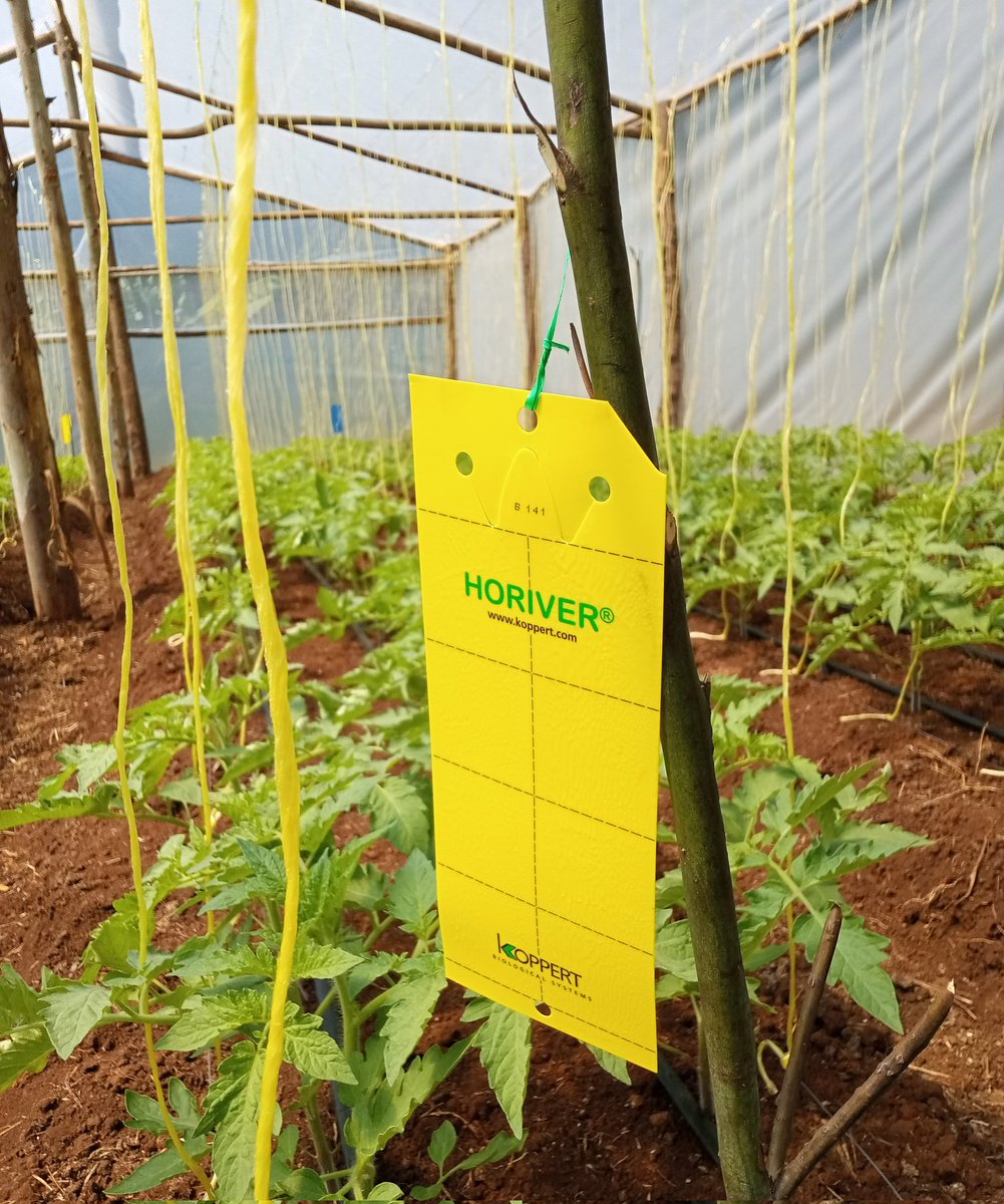 Pest prevention is the first line of control. As part of Integrated ...