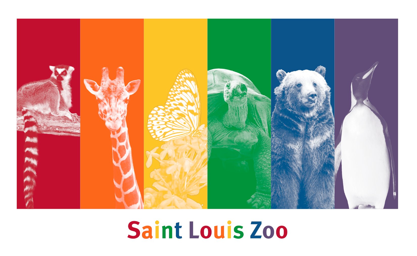 St Louis Zoo Logo St. Louis Zoo Dan Villeneuve Photography