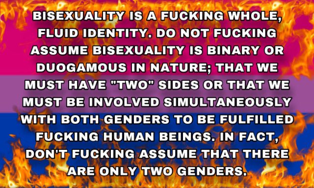 hadia HOUAYLOR ON TOUR on Twitter: "bisexual aggressive pride flags are my favourite"
