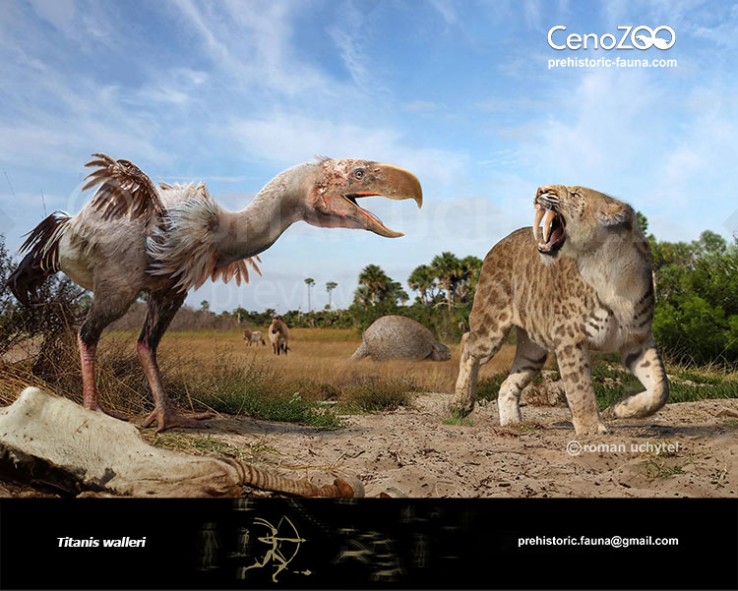 Prehistoric.Fauna on Twitter: "Titanis is a large extinct flightless carnivorous bird of the ...