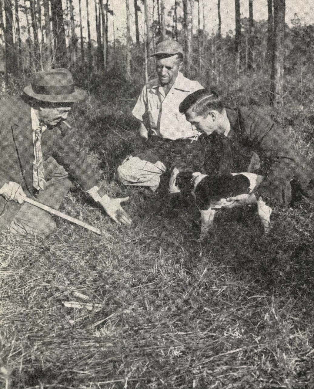 South Carolina Forestry Commission on Twitter: "Meet Burner Bob and all his forest friends ...