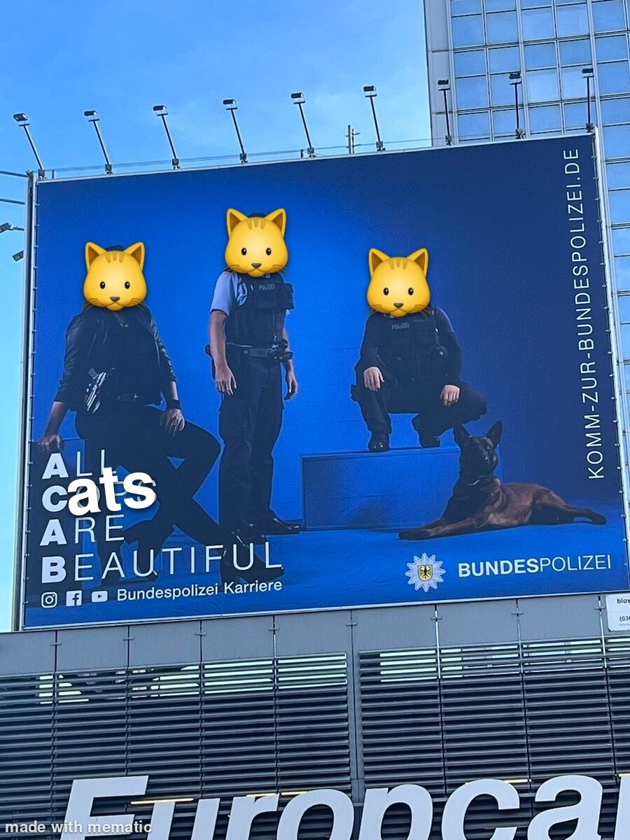 Sunny 🏴‍☠️ on Twitter: "Purrfect 🐱"