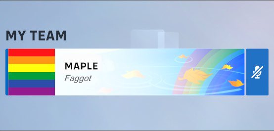 maple on Twitter: "these new pride event items in ow are crazy.. https://t.co/vKnSp3Mee4" / Twitter