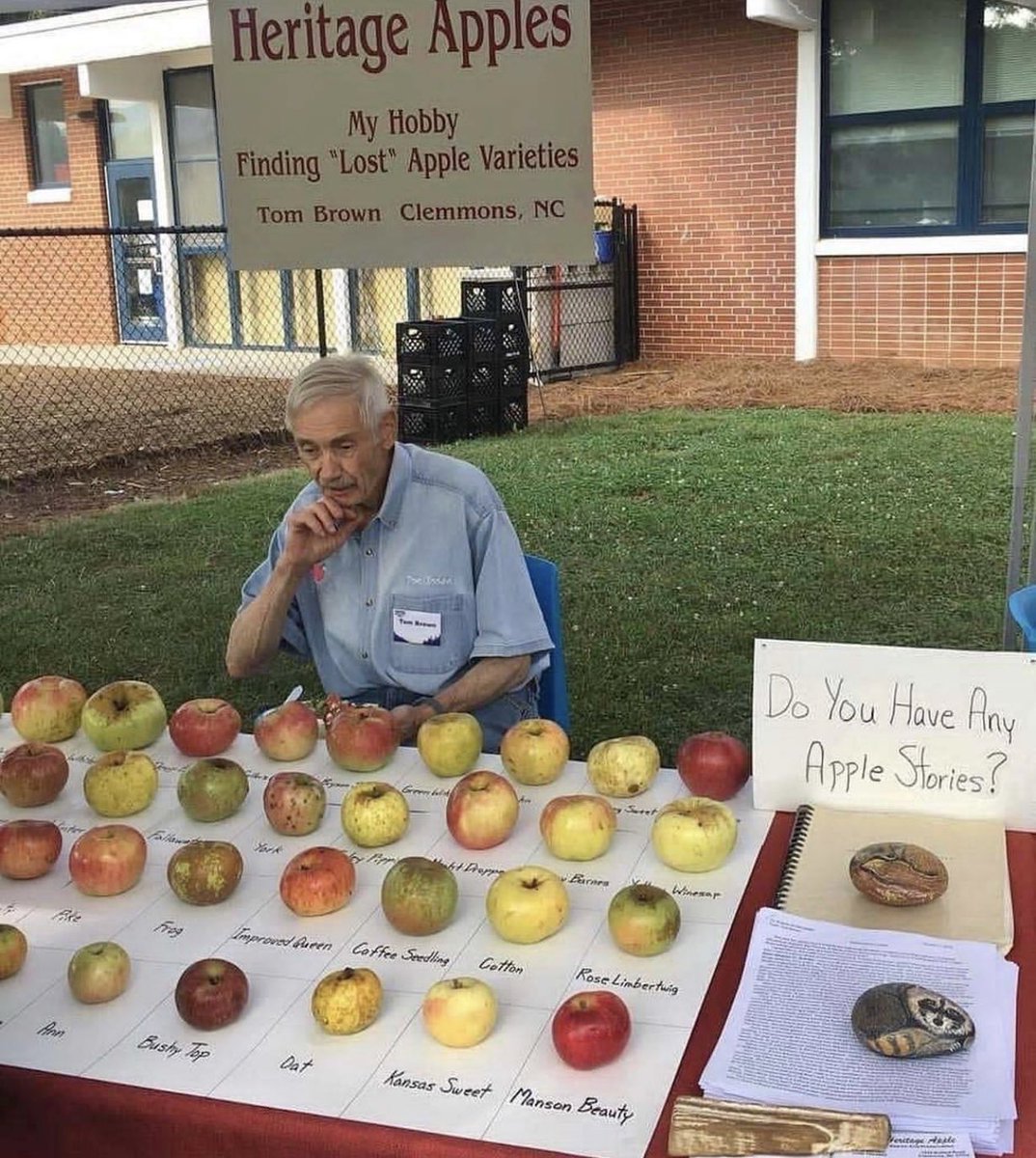 SAINT on Twitter: "Apple hunter, Tom Brown, a retired engineer, has saved 1,200 types of apples ...