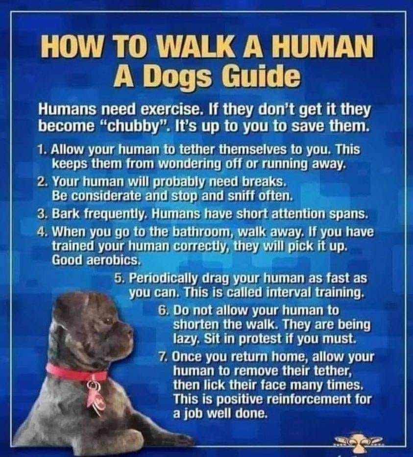 Moshe Vardi on Twitter: ":-) https://t.co/RceZ5cz0A1" / Twitter