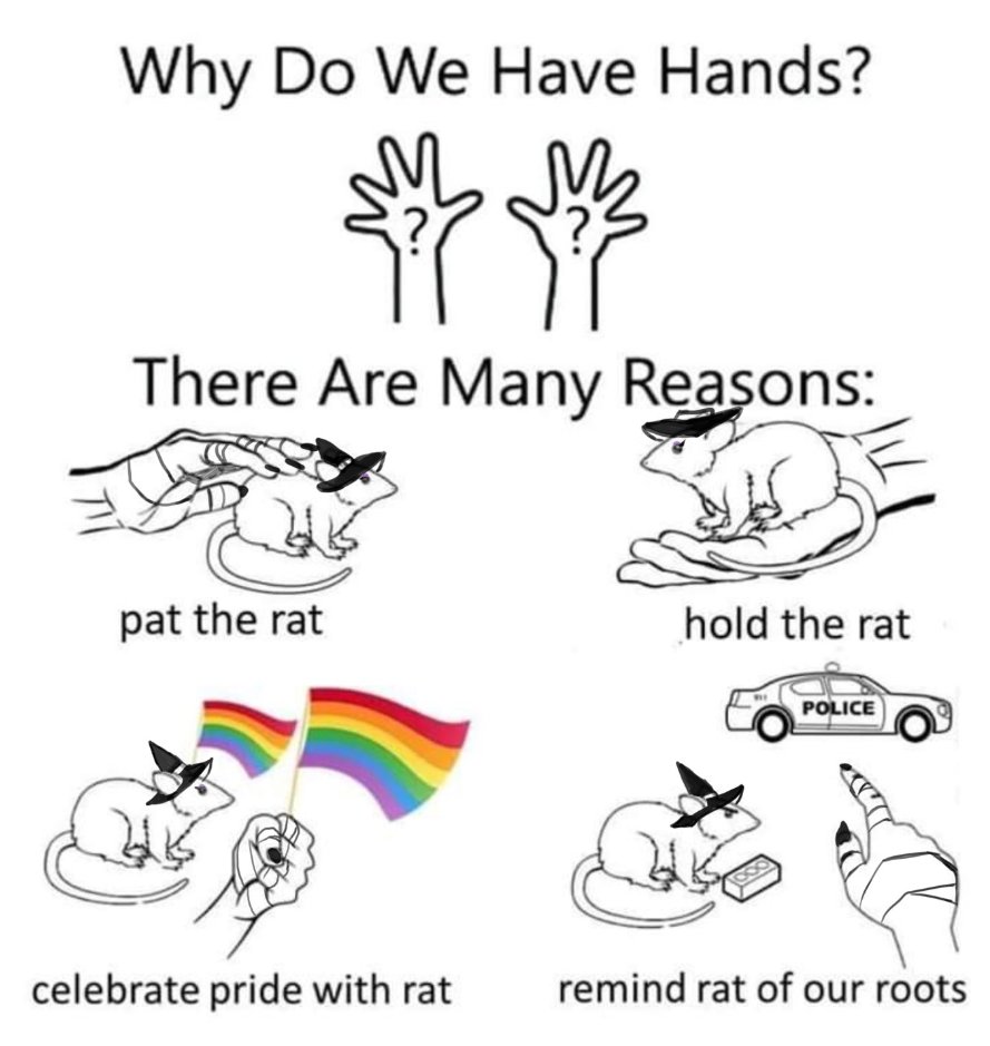 Boo the RAT 🐀🎃 on Twitter: "HAPPY GAY MONTH!!! GRAB UR NEAREST RAT"
