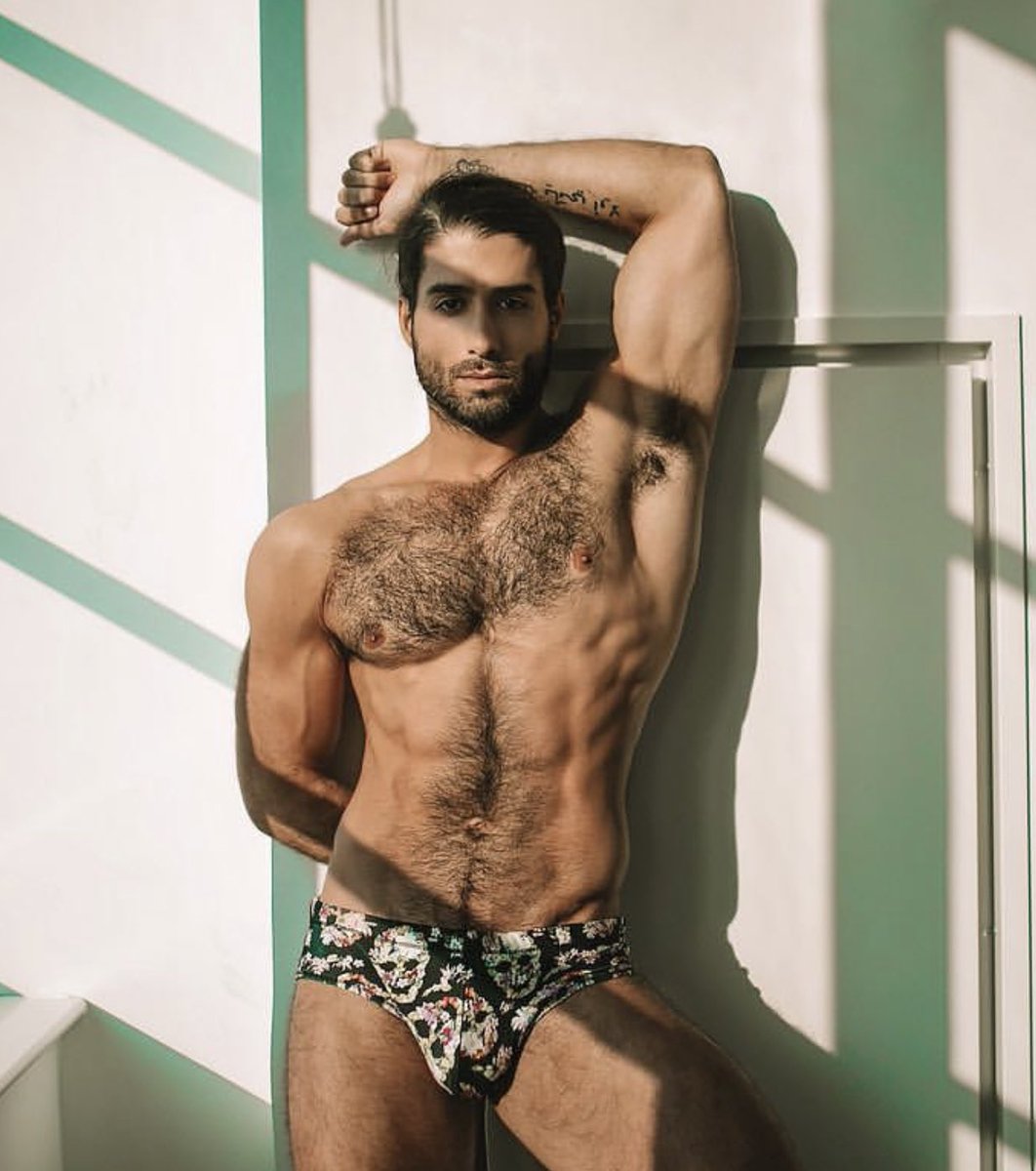 leon on Twitter: "Tauro Diego Sans"