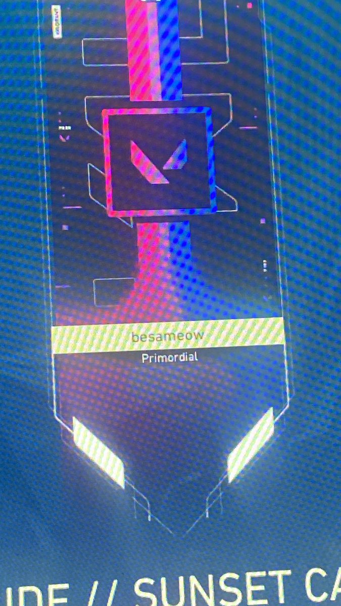 Valorant Pride Flagsvalorant Pride Flags