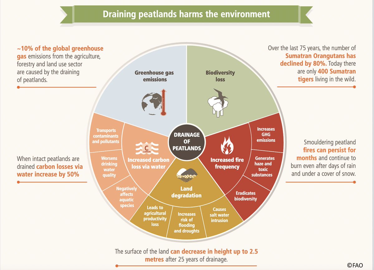 FAO Forestry on Twitter: FAO Forestry on Twitter:
