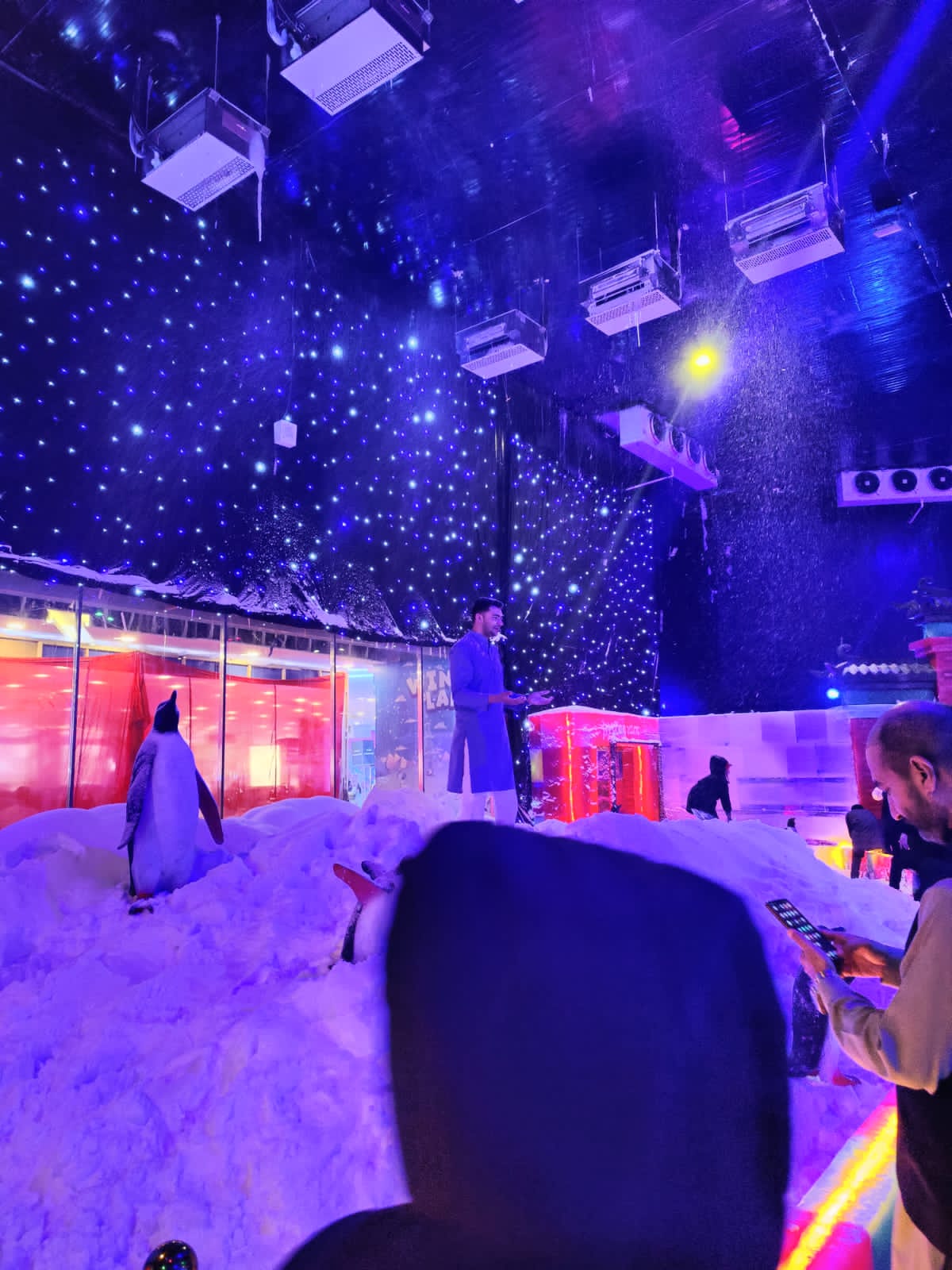 Indoor Snow Wonderland