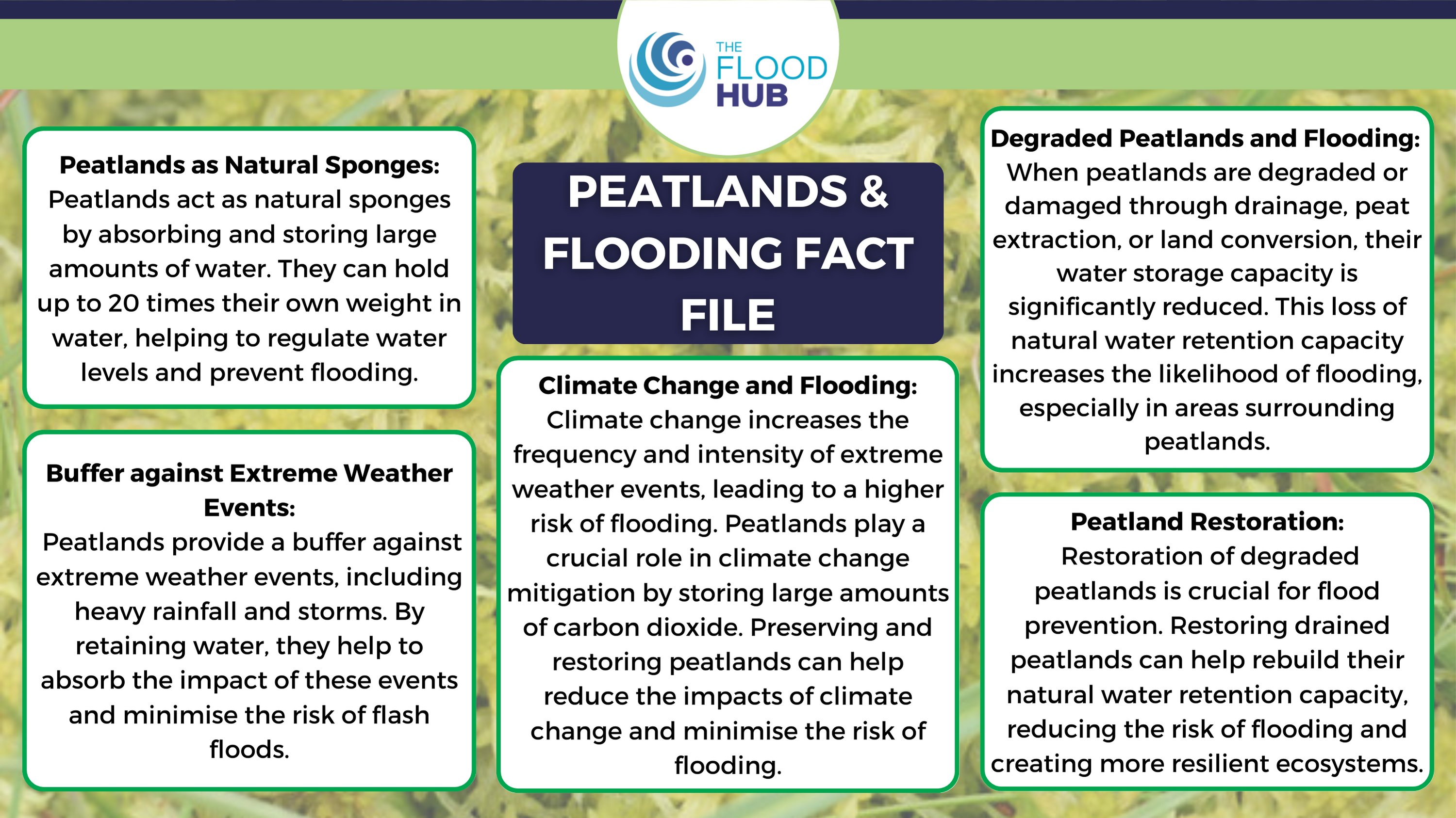 The Flood Hub on Twitter: The Flood Hub on Twitter: