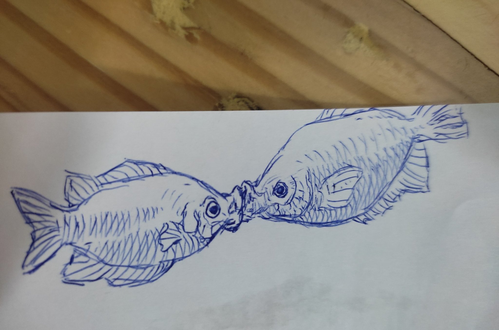Kissing Fish Drawing