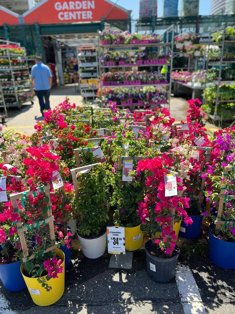 Altantsetseg Amalia (@Altantsetseg_al) / Twitter