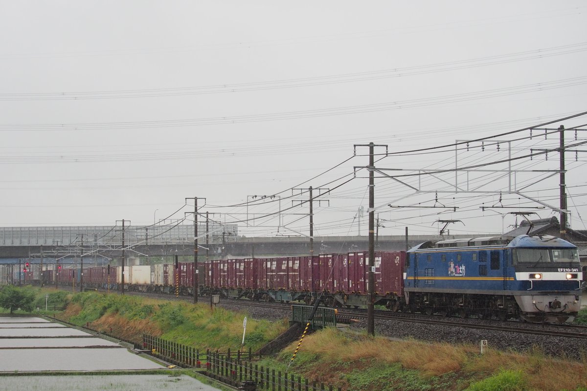 🐇かきてつ🐢 on Twitter: "RT @suito_railway: 6/2 1058レ EF210-341 南荒尾(信)→大垣 福田踏切 メガスポーツU16A-3、日本通運UV19A ...