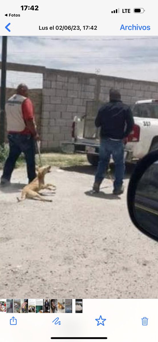 Miss Laguna on Twitter: "Alcaldesa @LetyHerreraAle Los capturadores de ...