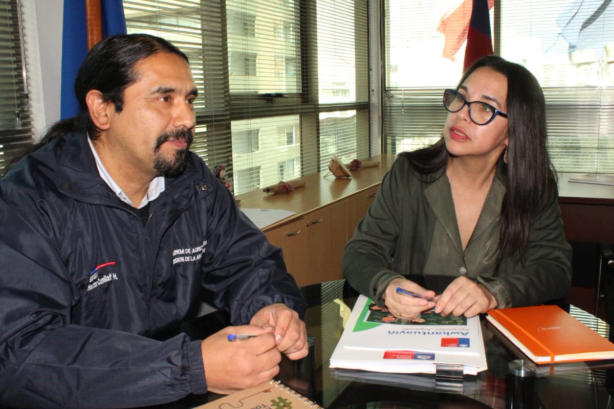CONADI on Twitter: "RT @MinagriAraucan: Seremi de Agricultura, Héctor Cumilaf y la subdirectora ...