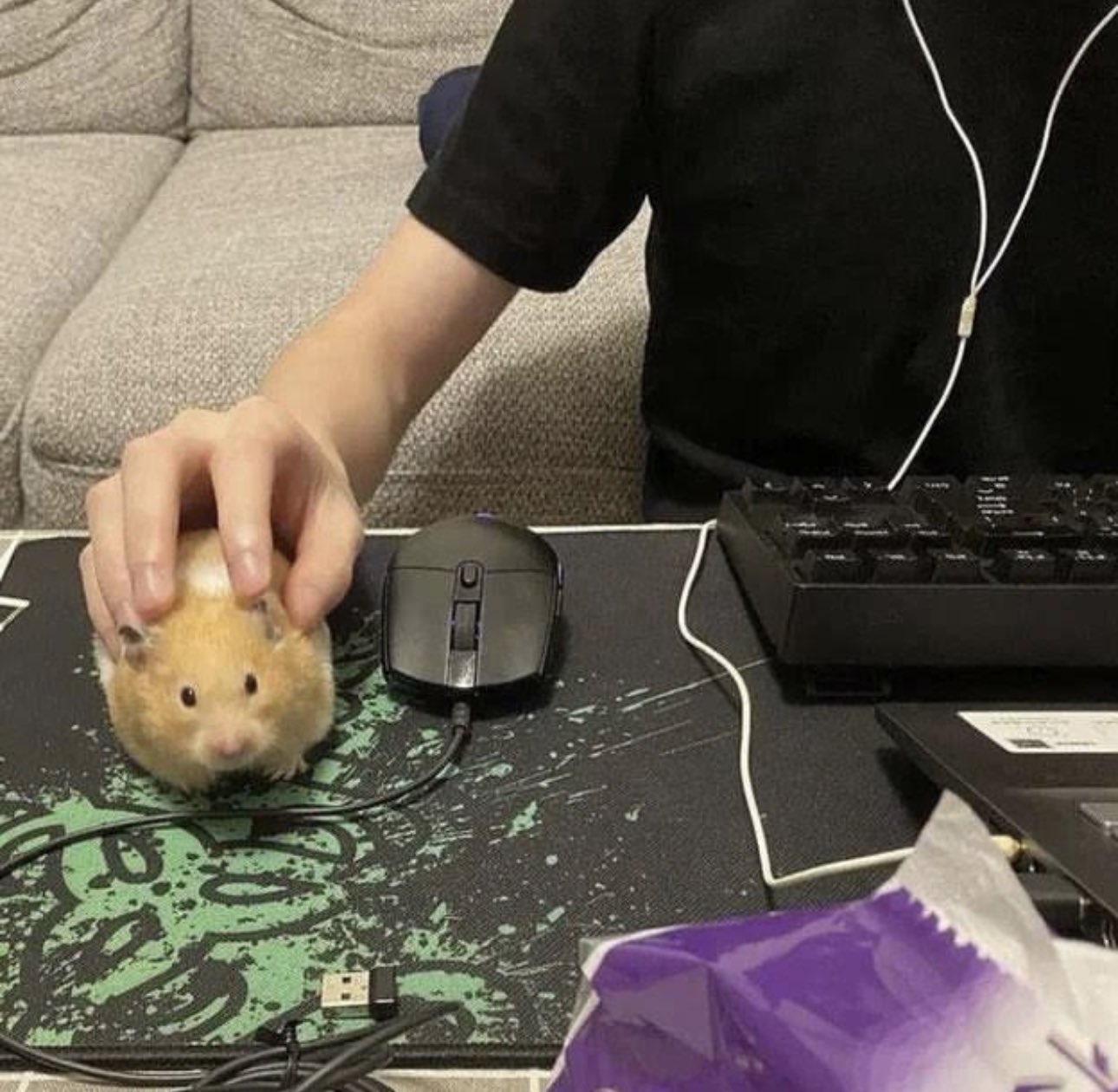 Best Gaming Mouse Meme Best Gaming Mouse 2025 | Tom's Hardware