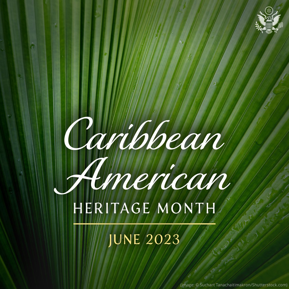 Secretary Antony Blinken on Twitter: "During National Caribbean ...