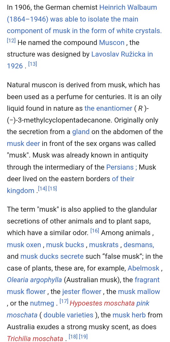 The Origins of [ELON] "MUSK" (Parody BUT Interesting 🧵 on Word Magick ...