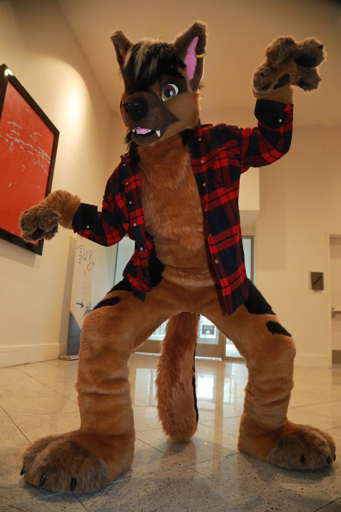 Emotional Support Lion On Twitter Rt Wereshepdor ⚠️ Wereshep On The