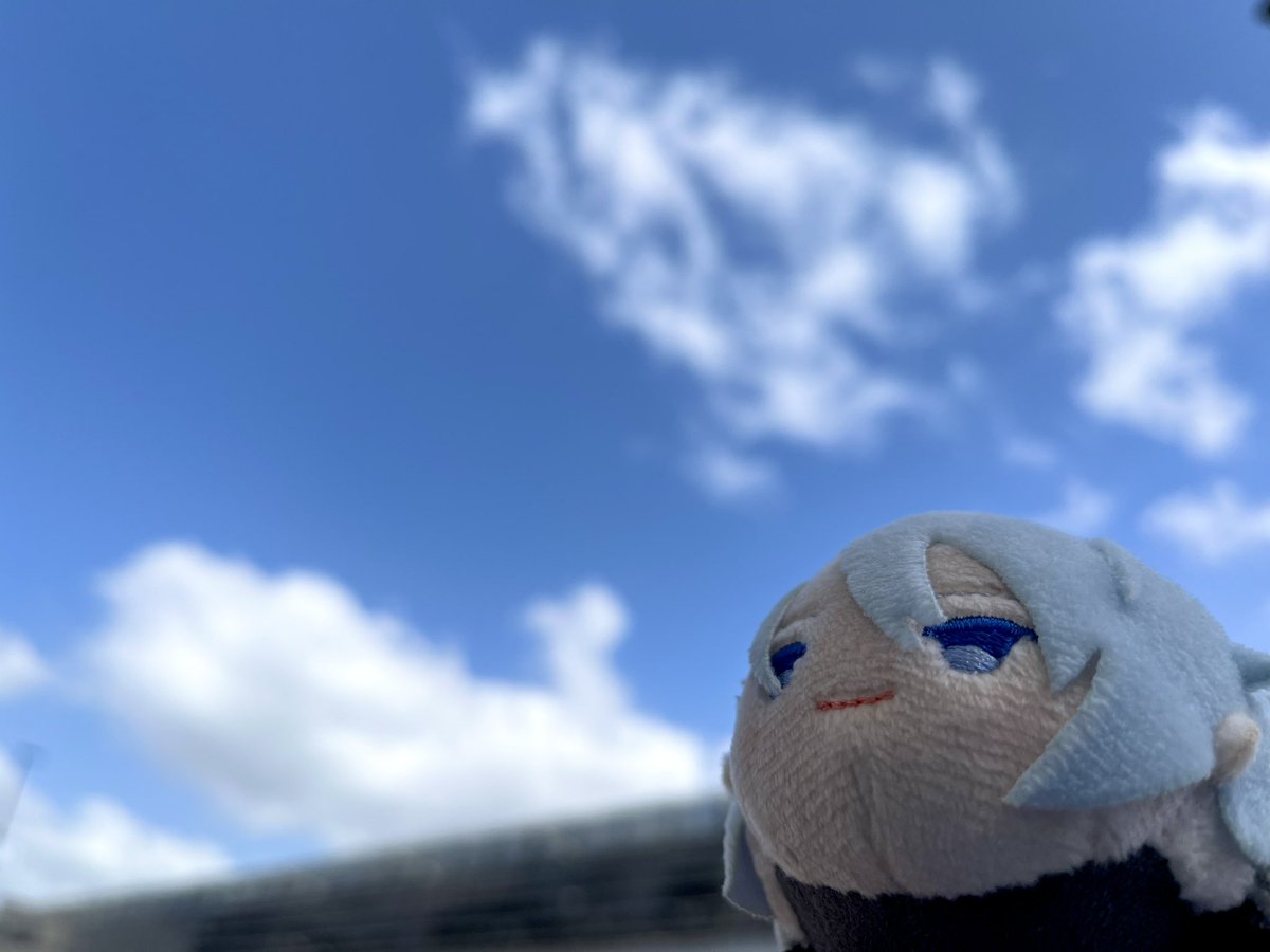 混雑情報（246ページ目） 今日現在・リアルタイム最新情報｜ナウティス