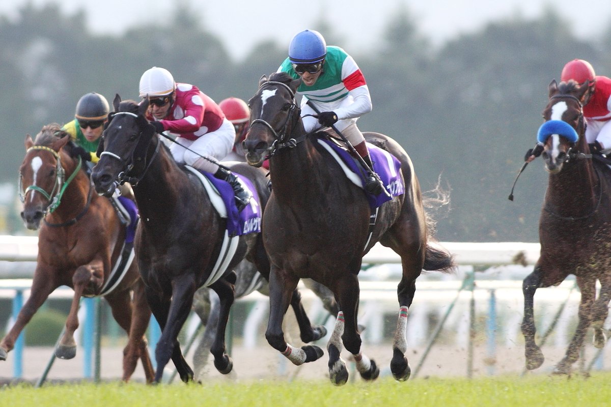 JRA-VAN公式 on Twitter: "#東京5R の新馬戦を制したのは #シュトラウス。母は'08年のマイルCSを制した #ブルーメンブラット 。今後の活躍に注目です！"