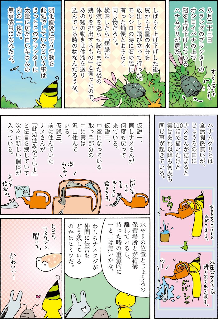 虫の日 なのでワラジ虫達の観察漫画が9時をお知らせします。109から112話をどうぞ。 」高川ヨ志ノリ マヨイギ連載開始 C103日曜西1み-46aの漫画