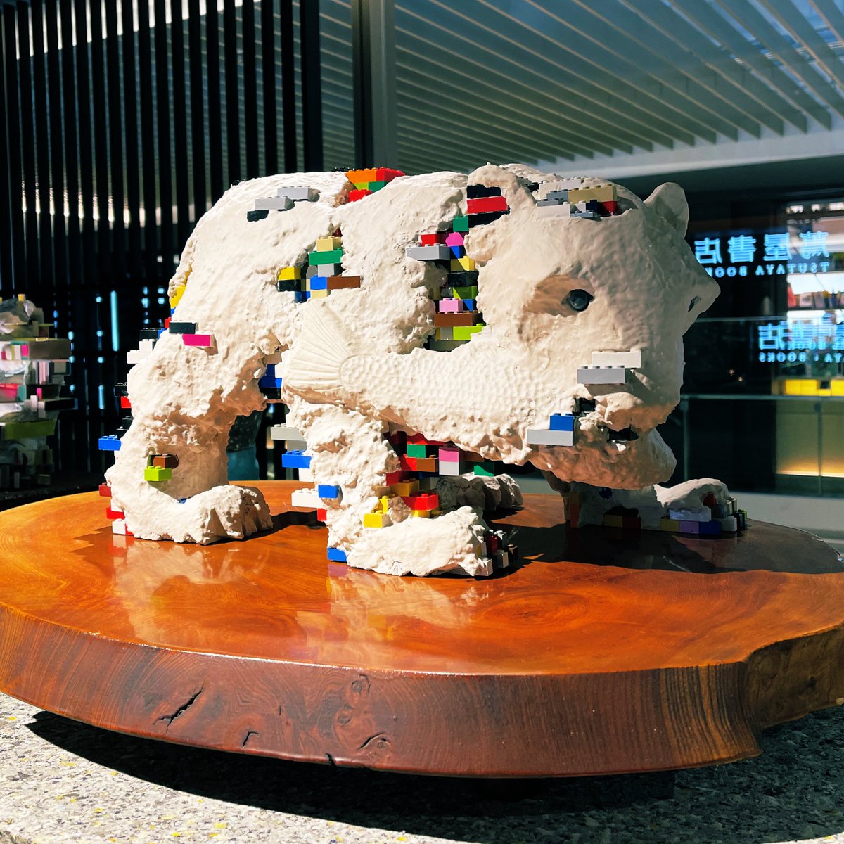 kaiware style🌱 on Twitter: "念願のグリッチたぬきを見れました"