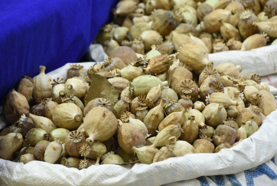 CBN seizes over 2,500 kg of poppy straw from truck in Vadodara ...